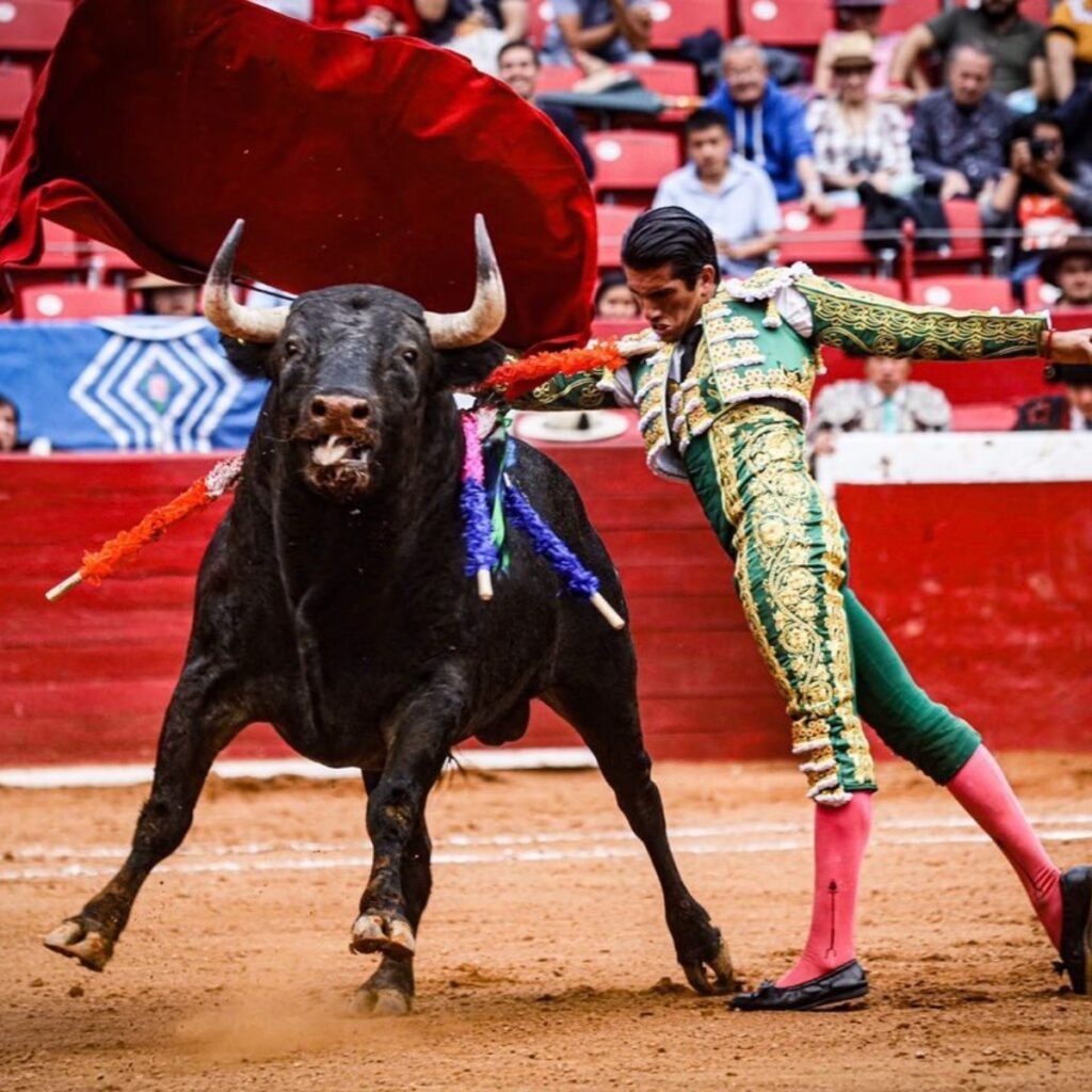 ¡Prohibidas las corridas de toros en Colombia! En segundo debate ...